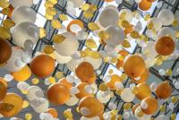 Home | Georgia Tech - School of Psychology